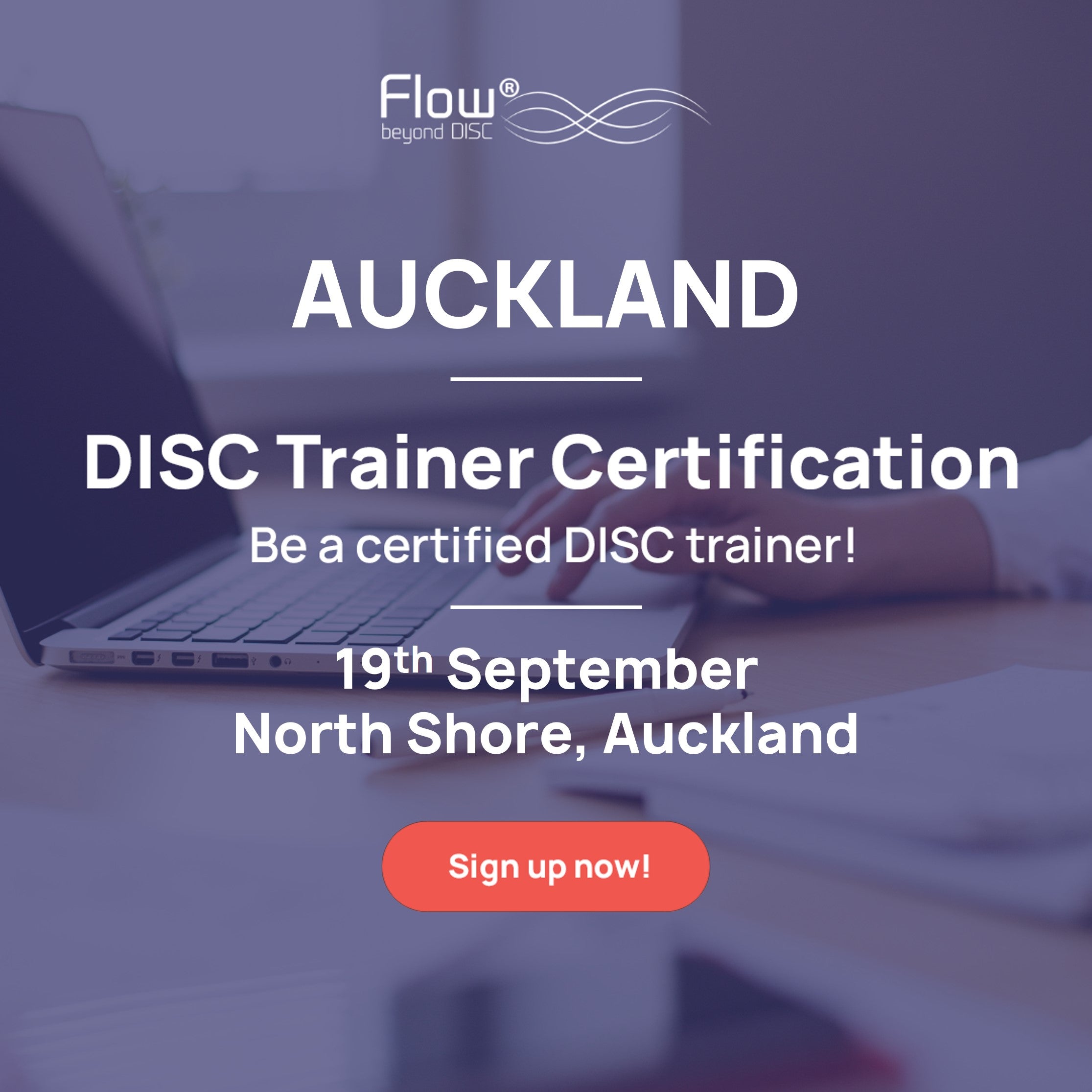 DISC Flow Trainer Certification and Accreditation Course | Sign Up Now! – DISC Flow NZ