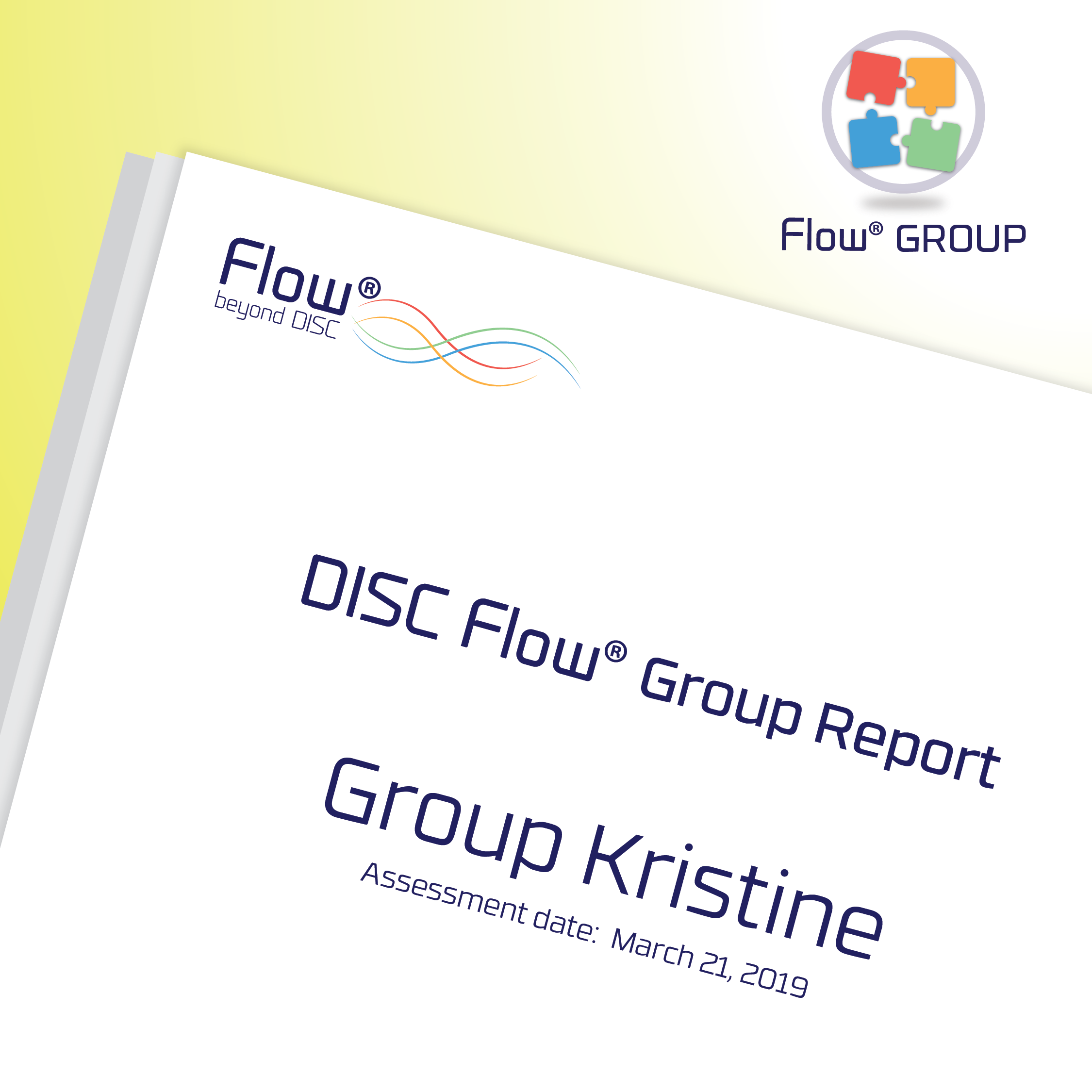 DISC Flow Group Report | Online Assessment – DISC Flow NZ