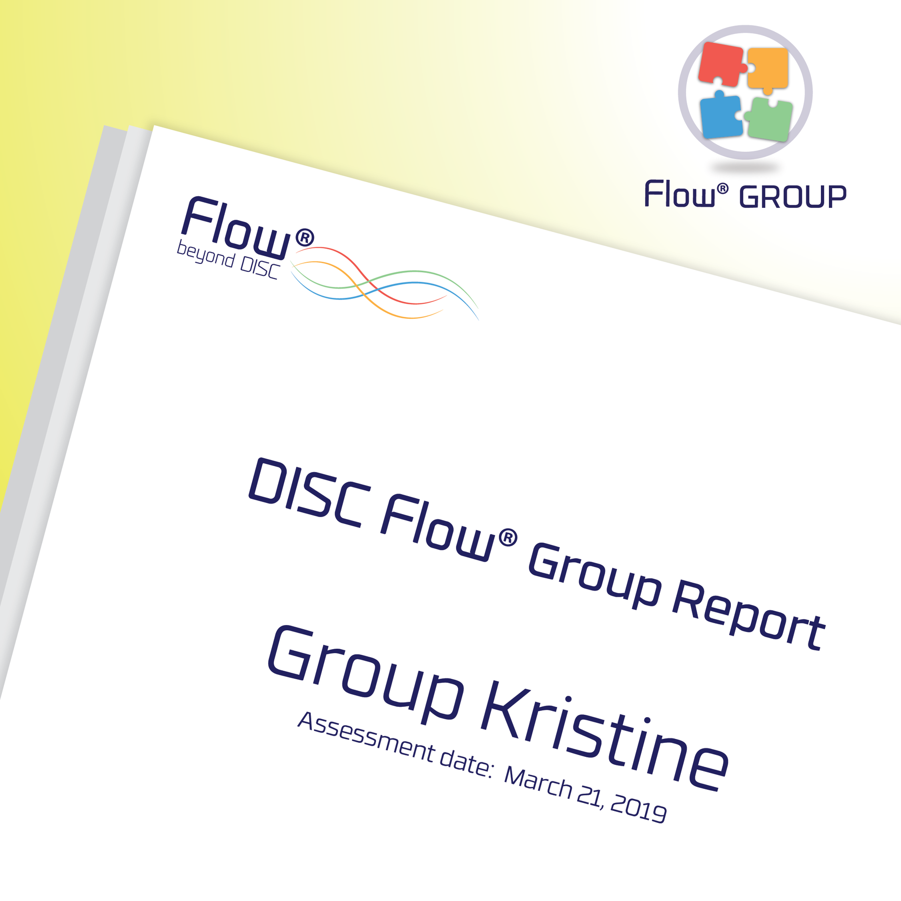 DISC Flow Group Report | Online Assessment – DISC Flow NZ