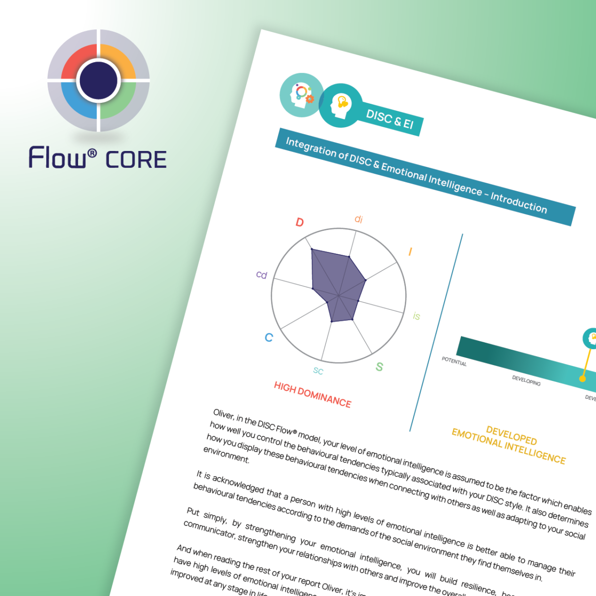 DISC Flow Core Report | Online Assessment – DISC Flow NZ