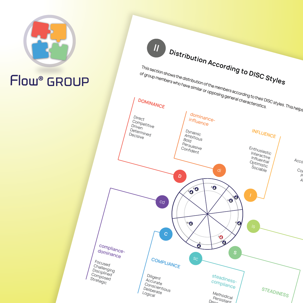 DISC Flow Group Report | Online Assessment – DISC Flow NZ