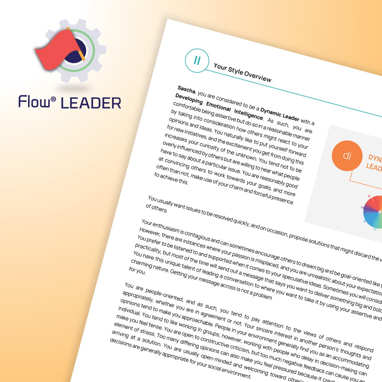 DISC Flow Leader Report | Online Assessment – DISC Flow NZ