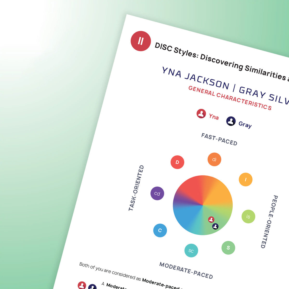 DISC Flow Connect Report | Online Assessment – DISC Flow NZ