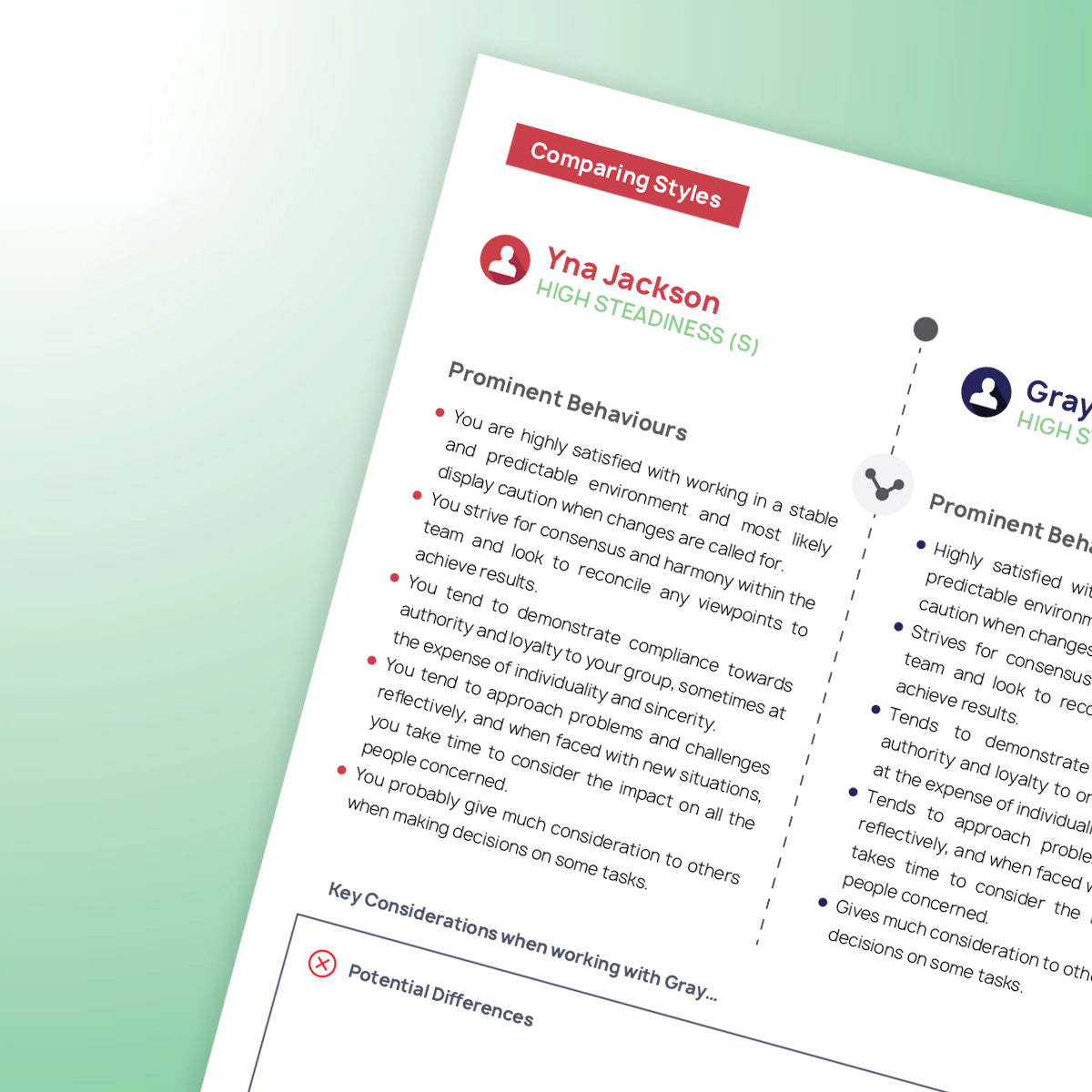 DISC Flow Connect Report | Online Assessment – DISC Flow NZ
